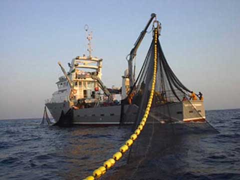 fabricant de filet de peche et filet a chalut pélagique